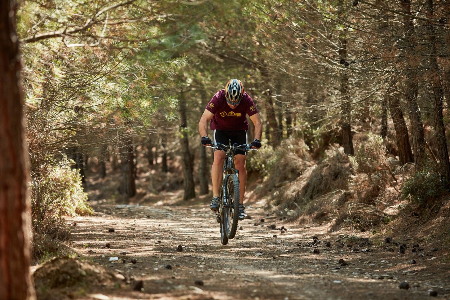 Offers - Icon Suites